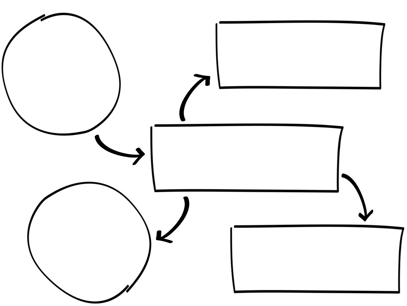 Is Your Optometric Practice Management Doing Its Job